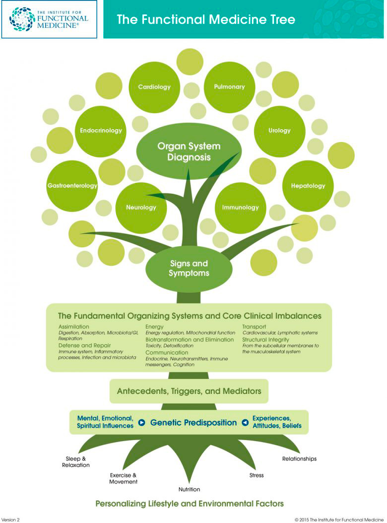 Functional Medicine Explained - Nutrition Naturally